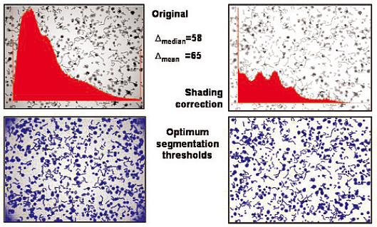 Digital Pathology Techniques Digital Pathology Techniques