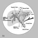 Procedure